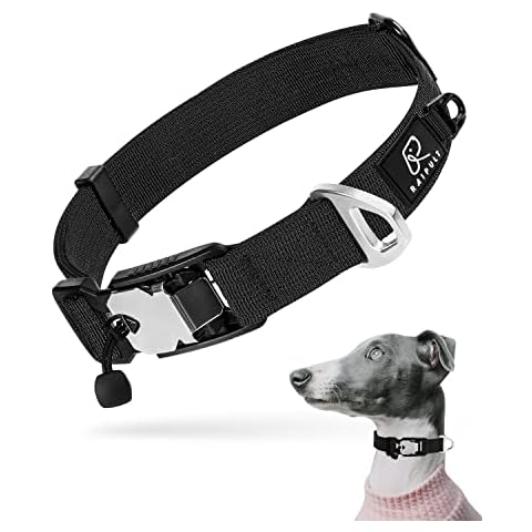 Top 10 Best Magnetic Dog Collars in 2023 (Reviews) - FindThisBest