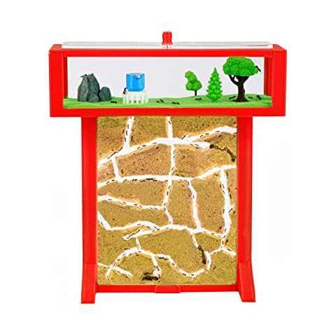 Los 10 mejores terrarios para insectos de 2022 (comparativas ...