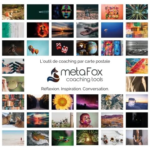 Top 10 meilleures cartes postales metaFox avis de 2023 - FindThisBest (FR)