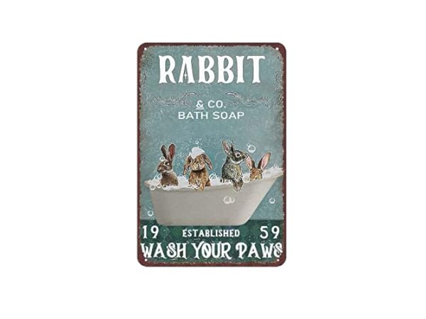 Top 10 meilleures décorations murales de lapins en 2024 (Avis ...